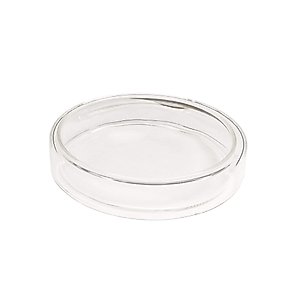 Glass Petri Dish with Lids, Autoclavable Borosilicate Glass, Lab Dishes Pack of 10 (75mm)