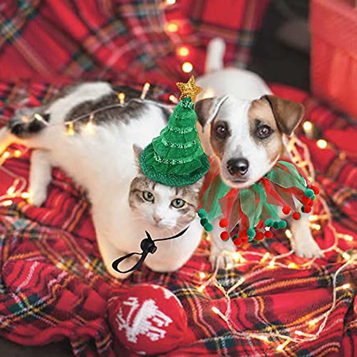 Christmas Dog Collar Hat Cat Costume 1 PCS Red Green Collar with 1 PCS Green Santa Hat Xmas Tree Headdress for Christmas Pet Decoration Holiday Dress