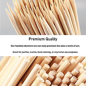 DESIOLE Natural Bamboo Skewers, 100Pcs 10Inch BBQ Sticks for Appetiser, Fruit, Cocktail, Kabob, Chocolate Fountain, Grilling, Barbecue, Kitchen, Crafting, Gardening and Party