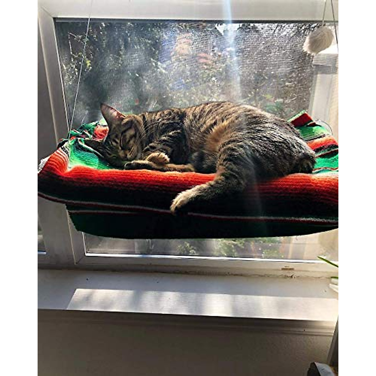 Lcybem Cat Window Perch - Cat Hammocks for Window with Plush Pad, Space Saving Cat Bed, Pet Resting Seat Safety Holds Two Large Cats, Providing All Around 360° Sunbathe for Indoor