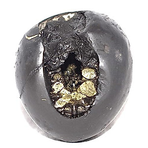 Adwaitya Golden ChinnaMasta Dasha MahaVidya Shaligram, Fossil, Fossil