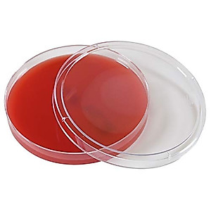 Blood Agar, 10 Percent Sheep Blood in Tryptic Soy Agar (TSA) Base, 15x100mm Plate, Order by the Package of 10, by Hardy Diagnostics