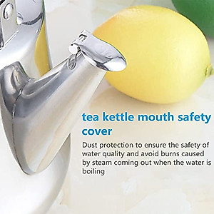 TailVeil Orange Tea Kettle, Tea Kettle Stovetop Teapot 304 Stainless Steel Tea Pots for Stove Top, Anti-Hot Handle,with removable tea basketSuitable for All Heat Source, Orange (2.11 Quart)