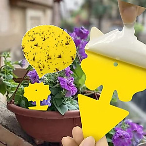 Yellow Sticky Trap for Gnats, 40 Pcs Fruit Fly Trap for Indoor House, Double Side Sticky Trap for Flying Plant Insect Like Fungus Gnat, Fruit Fly, Mosquito, White Fly