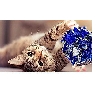 20 Pcs 2 Inch Crinkle Balls Cat Toys Mylar Crinkle Balls for Kittens Exercise and Multiple Cats Play
