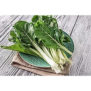 Silver Ice Swiss Chard, 300 Heirloom Seeds Per Packet, (Isla's Garden Seeds), Non GMO Seeds, Botanical Name: Beta vulgaris VAR. cicla
