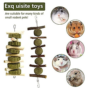 2Pcs/Set Bunny Chew Balls Toys,Rabbits Teeth Care Chewing Playing Toys,Molar Natural Apple Sticks for Rabbits Chinchillas Guinea Pigs Hamsters Improve Dental Health