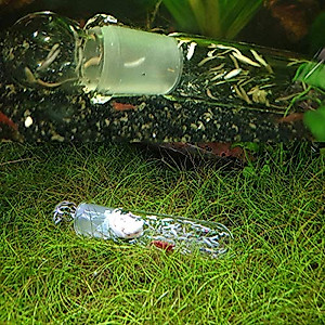 Windspeed Planaria Trap Catch Trap Leeches Catcher, Aquarium Supplies Clear Glass Planarian Leech Trap Tube Catcher 3 Holes for Cherry Shrimp Crystal Red Shrimp Dwarf Shrimp