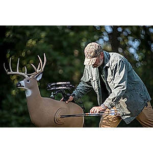 Field Logic Big Shooter Buck 3D Archery Target with Replaceable Insert Core, Brown