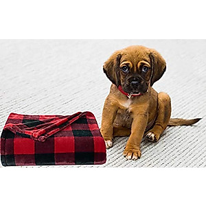 The Big One Throw Blanket, Super Soft Plush Red and Black Buffalo Plaid Pattern Checked Throw for Couch, or Bed Cozy Lightweight Fluffy Oversized 5 x 6 ft, Living Room and Bedroom