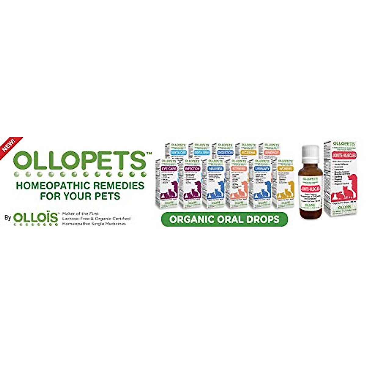 OLLOPETS Infection, Organic Homeopathic Remedy for Pets, 1 Fl Ounce