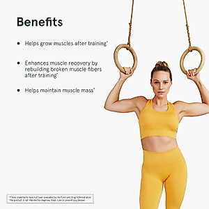 Puori Whey Protein Powder Bundle - Dark Chocolate and Bourbon Vanilla - PW1 Pasture-Raised Grass-Fed Non-GMO - 100% Natural and Pure for Muscle Growth - 21g Protein