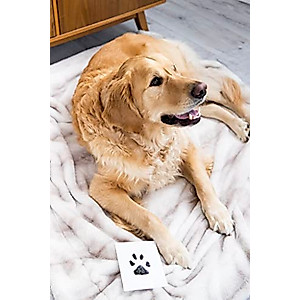 Pearhead Pet Clean-Touch Ink Pad, Medium/Large, Black Ink Pad for Cats or Dogs, Pet Owner, Pet Owner Must Have Item, Pet Memory Keepsake, for Medium to Large Pets