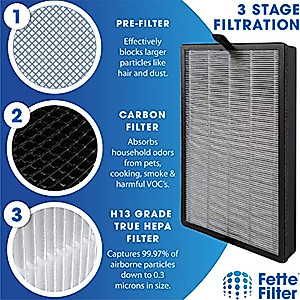 Fette Filter - PM1539 True HEPA H13 Replacement Air Purifier Filter Set Compatible with Inofia Air Purifier System Compare to Part # PM1539. Pack of 2
