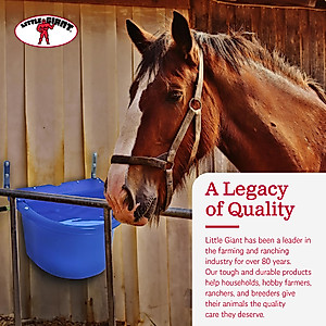 Little Giant FW16BLUE 4 Gal Auto Float Controlled Waterer Livestock (2 Pack)