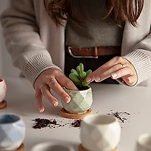 ilohaus Succulent Pots Set of 6, Plant Pots Indoor, Succulent Planters, Small Plant Pots, Cactus Pot, Cute Plant Pots, Small Flower Pots, Small Succulent Pot, Small Planter Set