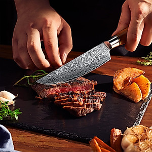 SENKEN 6-Piece Damascus Steel Steak Knife Set - Non-Serrated Steak Knives with Sycamore Wood Handles - The Dynasty Collection - 67-Layer Japanese VG10 Steel (6-Piece Steak Knife Set)