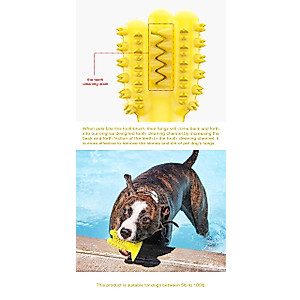 Dog Toothbrush Chew Toy, Cactus Shaped Chew Toy, Dog Teeth Cleaning Dental Toy With Cotton Rope For Dogs, Puppies And Aggressive Chewers In Aspect Of Size: Small Medium Large (if Buy More One, Will Ge