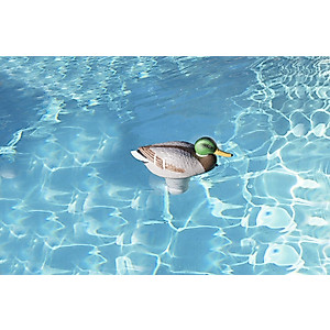 Poolmaster Adustable Chlorine Dispenser for Swimming Pools and Spas, Mallard