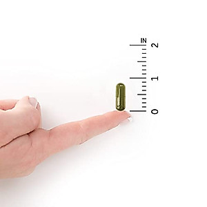 Garden of Life Vitamin D, Vitamin Code Raw D3, Vitamin D 5,000 IU, Raw Whole Food Vitamin D Supplements with Chlorella, Fruit, Veggies & Probiotics for Bone & Immune Health, 60 Vegetarian Capsules