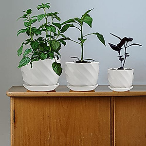 Laerjin Plant Pots, 4.05" & 5.51" & 6.77" Flower Pot, Ceramic Garden Plant Pots with Connected Saucer for Garden, Set of 3 in Different Sizes