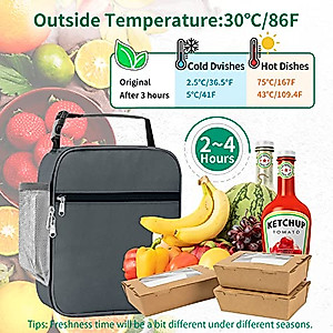 ProCattle Reusable Lunch Box for Kids Men Women Adults, Durable Small Insulated Lunch Bag, Portable Lunchbox for Office Work -Gray