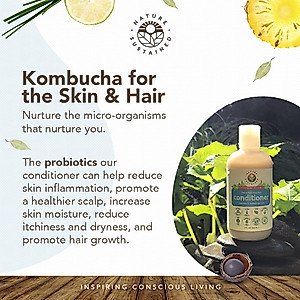 Nature Sustained Organic Conditioner - Hypoallergenic, Chemical-Free, Sulfate Free Natural Conditioner for Dry or Damaged Hair, Raw Probiotic Hydrating Soapberry Formula, Gallon, Original