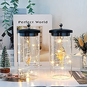 JHY DESIGN Set of 2 Sea Shell Pendant Decorative Lamp Battery Powered Lights 7" Tall Cordless Lamp Light with Fairy Lights for Living Room Bedroom Kitchen Wedding Xmas Christmas Decorations