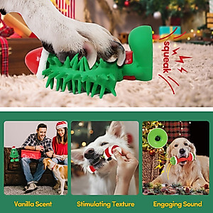 BUY IT ONCE Christmas Dog Toys Bundle, Interactive Dog Christmas Toys, Durable Squeaky Dog Chew Toys for Small and Medium Dogs, 4 Pcs Set for Holiday Fun, Mental Stimulation & Festive Play