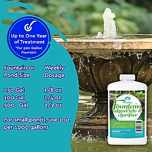 Algaecide for Fountains – Clarify and Controls Algae for Large and Small Fountain (8 oz)