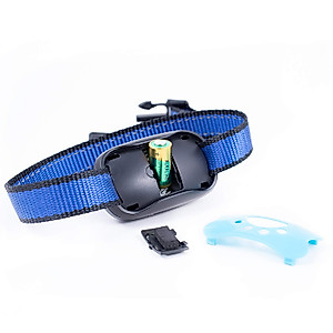 GoodBoy Bark Collar Batteries 5-Pack 6V Alkaline Battery 4LR44 (Also Known as PX28A, A544, K28A, V34PX)