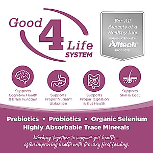 NutriSource Element Series Wild Range Dry Dog Food, Chicken, Pork & Bison, 4LB