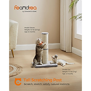 Feandrea Cat Scratching Post, 20.8-Inch Tall Cat Scratcher for Kittens, Small and Medium Cats, Sisal Scratch Pole, Spring Pompom with Built-in Bell, Dove Gray UPCA023G01