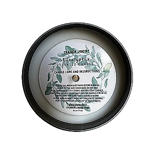 Trader Joe's Eucalyptus Scented Soy Candle (2 Pack)