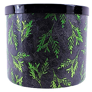 White Barn Bath & Body Works Fresh Balsam Scented Candle 3 Wick 14.5OZ