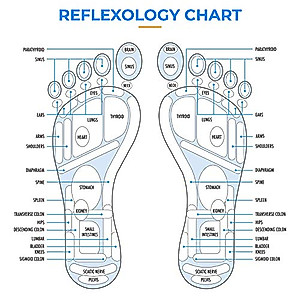 Daiwa Felicity Reflexology Acupressure Foot Therapy Disc & Shiatsu Massaging Magnetic Insoles Bundle
