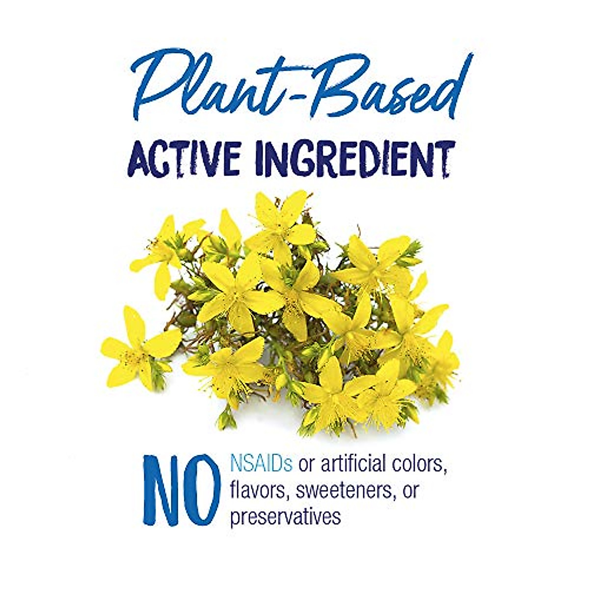 Boiron Hypericum Perforatum 30C Homeopathic Medicine for Relief from Nerve Pain, Toothaches, Pain in Legs or Back, and Shooting Pains - 3 Count (240 Pellets)