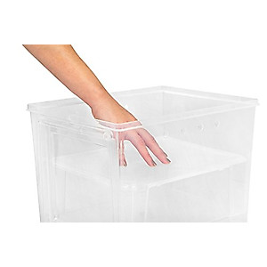 IRIS USA 4 Pack Shoe Storage Box, Clear Plastic Stackable Shoe Organizers for Closet, Space Saving Drop Front Sneaker Containers, Tall