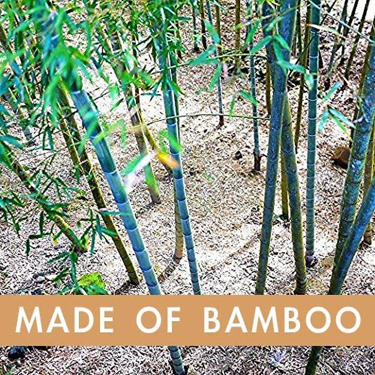 laboos Best Nature Manual Color Bamboo Toothbrush, New Extra Soft Compact Bristle Toothbrush,Best Biodegradable Toothbrush for Gingivitis and Sensitive Teeth. (4 PCS)