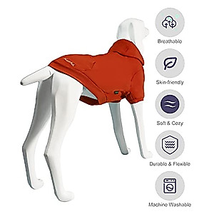 Kickred 2 Pieces Basic Cotton Dog Hoodie Sweater, Soft Pet Clothes Dog Sweatshirts, Dog Outfit Coat Pullover with Pocket and Leash Hole for Small Medium Large Dogs, L