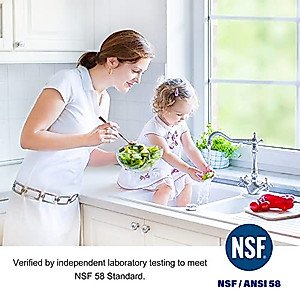 MOPUEHEL 50 GPD Reverse Osmosis Membranes, RO Membrane Filter Replacement, Compatible for RO5DX / RO5DXC / RO5XBN / RO5XCBN RO5M / RO5MX2 / RO5MXBN / RO5MXC / ROES-50 / MEM-ES-50 / GXRM10RBL (1 Pack)