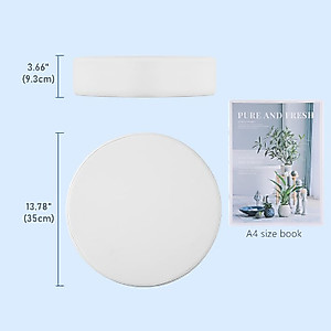 JMU Dental Assistant Chair, Rolling Stool with Wheels and Backrest Heavy Duty Stool Height Adjustable for Dental Lab Salon Home, White