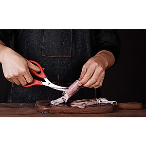 Joyce Lindberg Kitchen Seafood Scissors for Seafood Fish Crab Shrimp Lobster Shears 4 Pcs Red