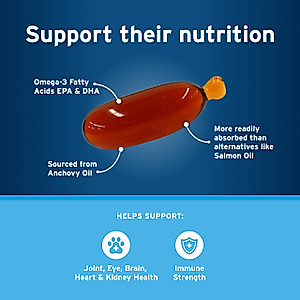 Pet Protect from The Makers of Advantage Omega 3 Supplement for M/L Dogs | 60 Capsules
