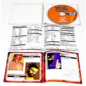 Giant Gram: All Japan ProWrestling 2 [Japan Import]