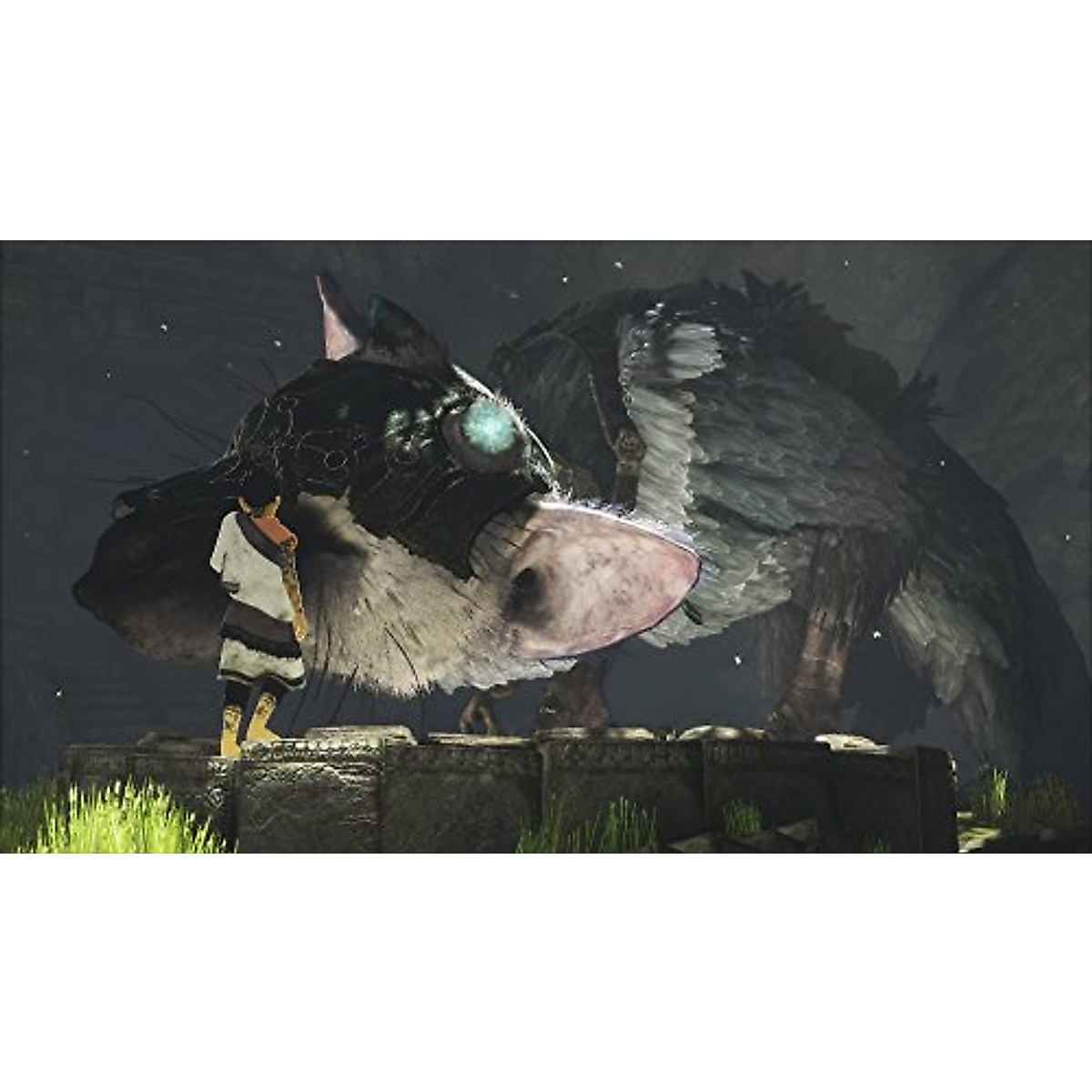 The Last Guardian - PlayStation 4