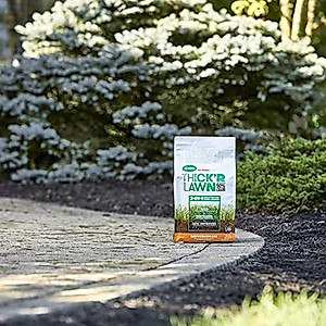 Scotts Turf Builder Thick'R Lawn Bermudagrass: Seed, Fertilizer, Soil Improver, 12 lbs., 2-Pack