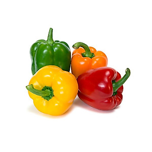 NIKA SEEDS - Seeds Vegetable Sweet Bell Pepper Rainbow Mix - 30 Seeds