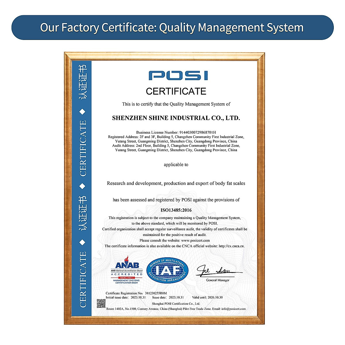 Homebuds Digital Body Weight Bathroom Scale, Focusing On High Precision Technology for Weighing Since 2001, Crystal Clear LED and Step-On, Batteries Included, 400lb/180kg,Blue