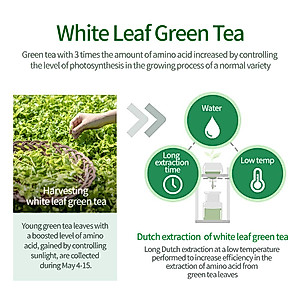 AMOS PROFESSIONAL The Green Tea Shampoo [Moist - For Normal/Dry Scalp] 17.6oz (500g) | Anti-Thinning & Anti- Hair Loss Shampoo for Hair Growth and Moisture | Korean Hair Salon Brand